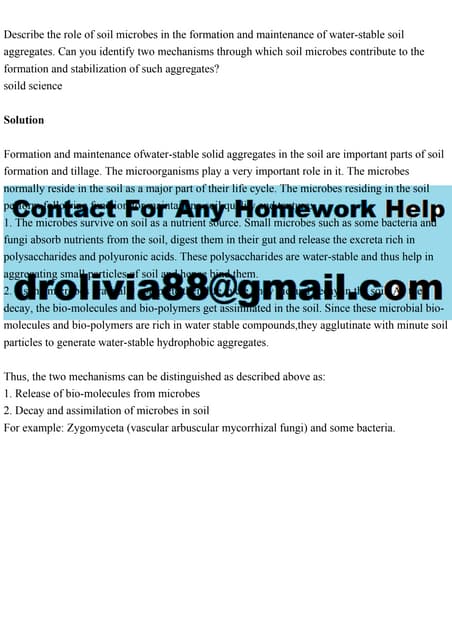 Formatting and code conversion occurs in the ________ layer of the O.pdf