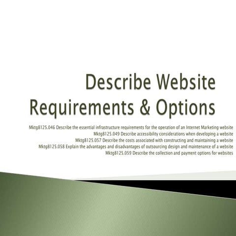 Describe website requirements & options | PPTX