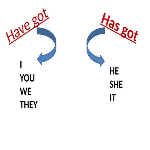 Describing Physical Appearance Using 'Have Got' and 'Has Got' in ...