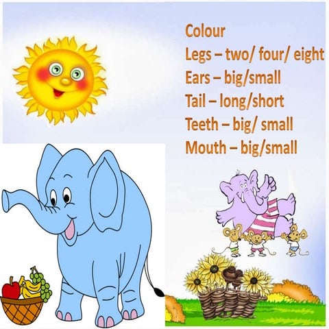 Describing animals | PPTX