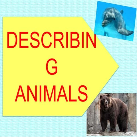 Wild Animals-description