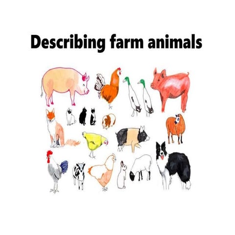 Describing farm animals | PPTX