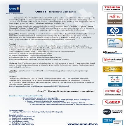 Descrierea companiei | PDF