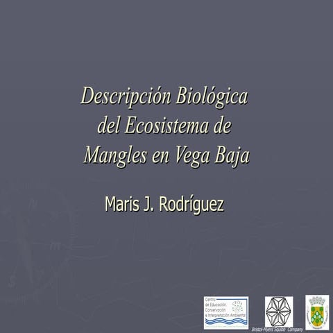 Situación actual del mangle en Honduras. | PDF