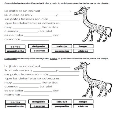 Descripcion de animales | DOCX