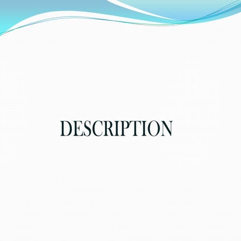 Describing people | PPT