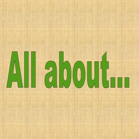 Description all about 3rd person model cards | PPT