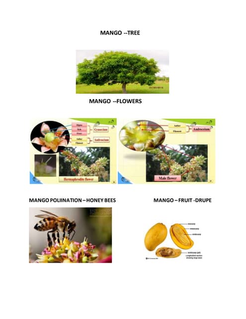 Food science food,nutrition,nutrients and health | PPT