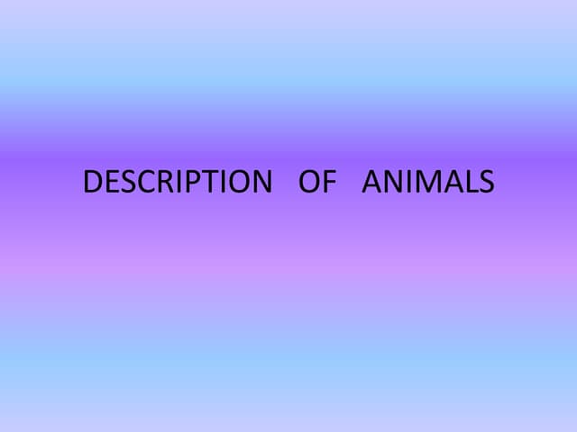 Describing animals | PPTX | Zoos & Aquariums | Attractions