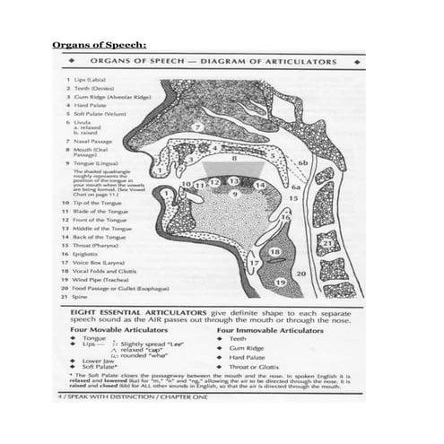 MANNERS OF ARTICULATION phonetics p.pptx