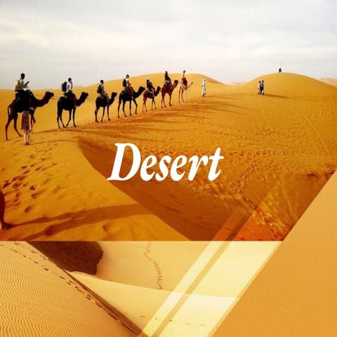 Desert.pptx