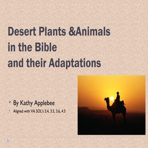Desert animal adaptations | PPT