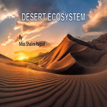 Desert Ecosystem-1.pptx adaptations of animals who survive in desert ...