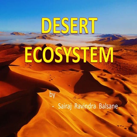 Ecosystem Of Desert