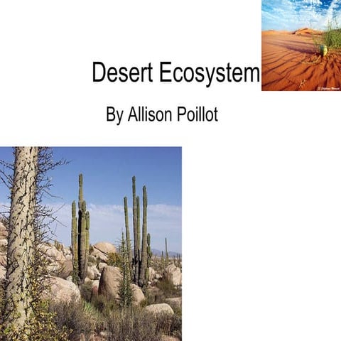 Desert ecosystem ap | PPT