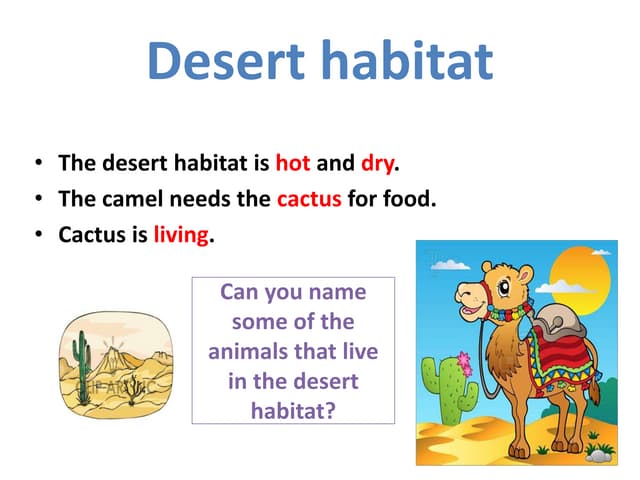 Desert Animals For Kids Powerpoint