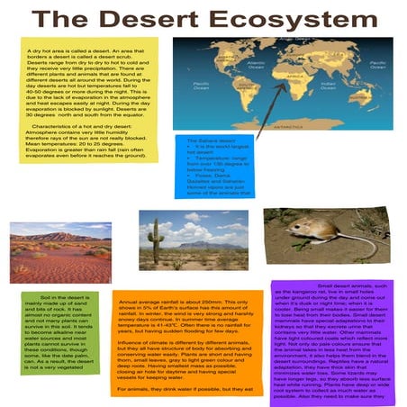 Desert poster cssl | PAGES