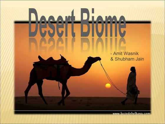 Desert ecosystem | PPT