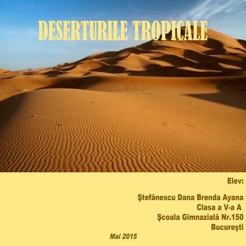 Mediul temperat oceanic 11 c | PDF