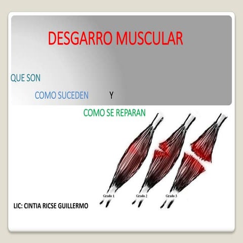 DESGARRO MUSCULAR (1).pptx