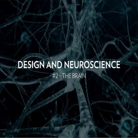 Design & Neuroscience - The Brain | PPT