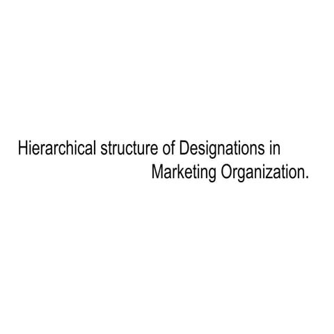 Designation Hierarchy | PPT