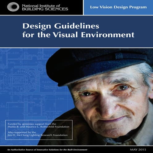 Design guidelines low_vision | PDF