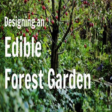 How to design a beautiful edible forest garden | PPT