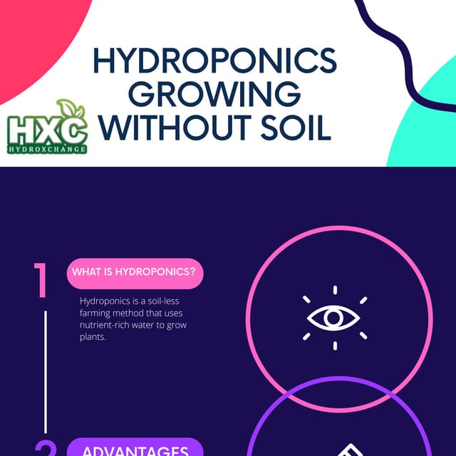 Premium Coco Coir Bricks and Soil for Superior Plant Growth -Hydroxchange | PDF