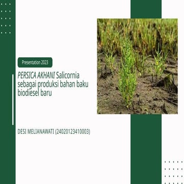 Persica Arkhani Salicornia as biodiesel new era | PPT