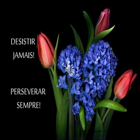 DESISTIR JAMAIS PERSEVERAR SEMPRE | PPSX