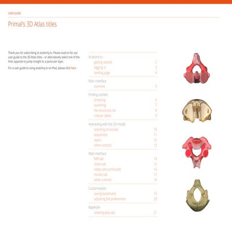 Primal Pictures Anatomy.TV - User Guide | PPT