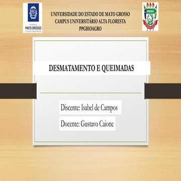 DESMATAMENTOS na região amazonica PPT.pptx