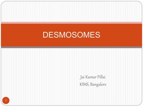 Desmosomes & hemidesmosomes | PPT
