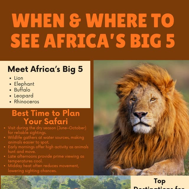 bsnl surrender form | PDF