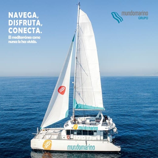 Navtec rigging service guidelines | PDF