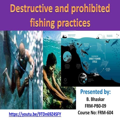 Destructive and prohibited fishing practices | PPTX