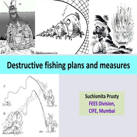 Destructive fishing plans and measures | PPTX