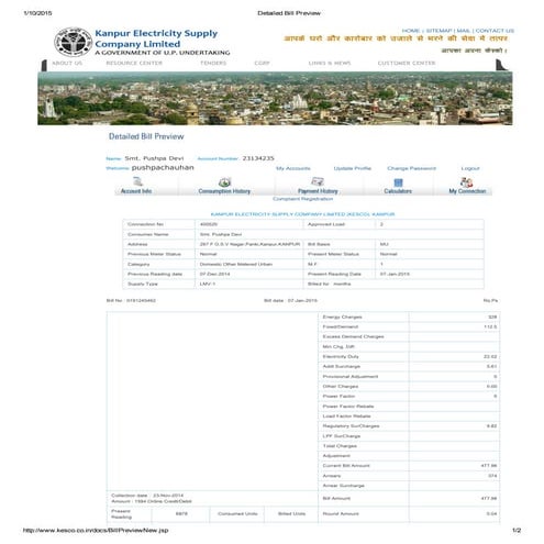 Detailed bill preview_january | PDF