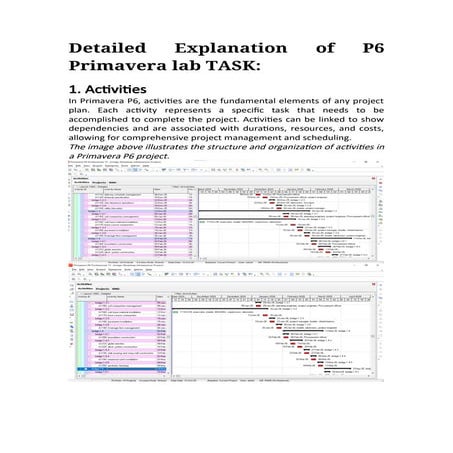 Primavera P6 Notes for Beginners | PDF