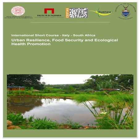 Urban Resilience, Food Security and Ecological Health Promotion | PDF