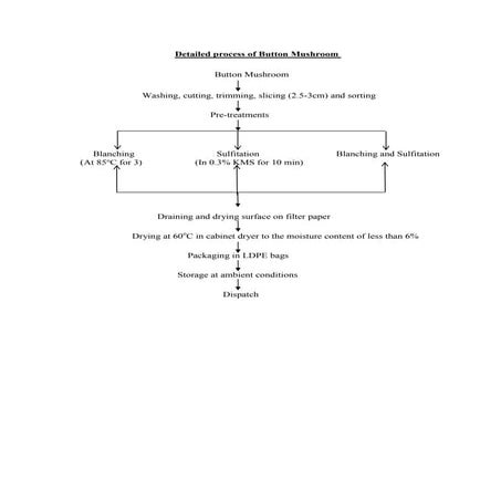 Button Mushroom Processing | PDF