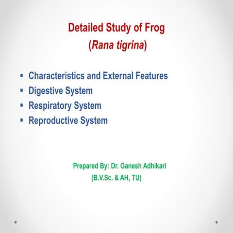 Detailed study of frog (rana tigrina) | PPTX