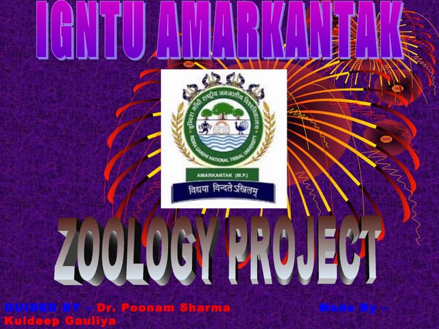 Reproductive system of frog | PPTX