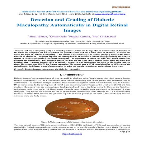 Detection And Grading Of Diabetic Maculopathy Automatically In Digital