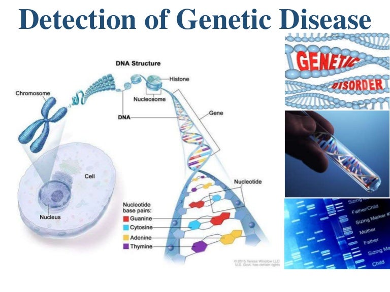 Detection of genetic disease