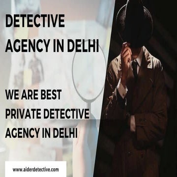 Private Detective Agency.pdf