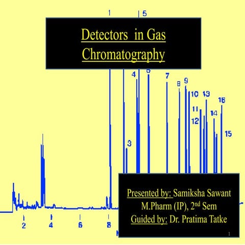 Gas Chromatography Graph