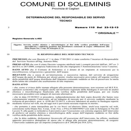 Determina n 110 | PDF