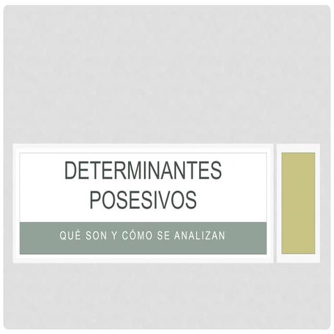 Determinantes posesivos | PPTX